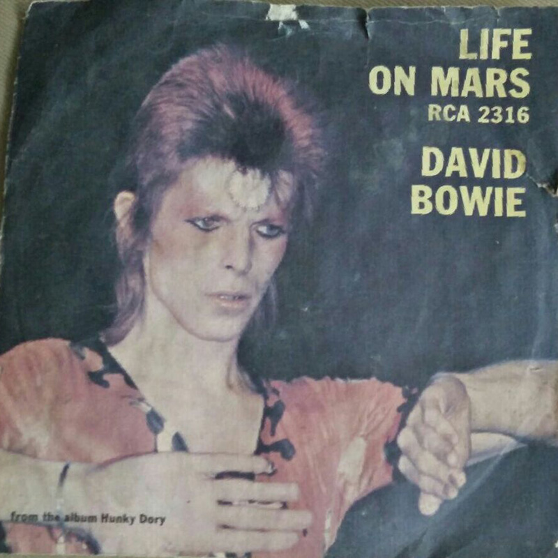 Loving The Alien - All Crews